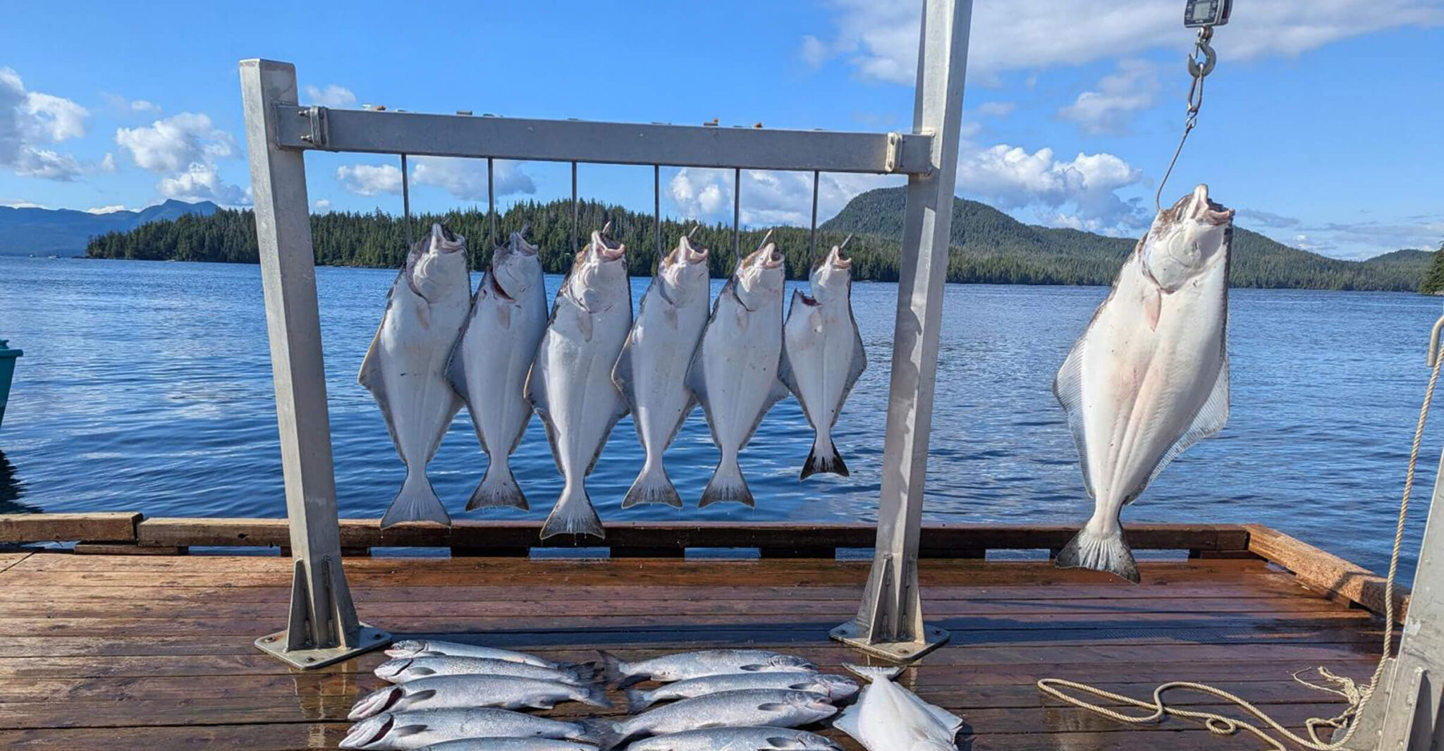 Halibut Trips | Oasis Alaska Charters